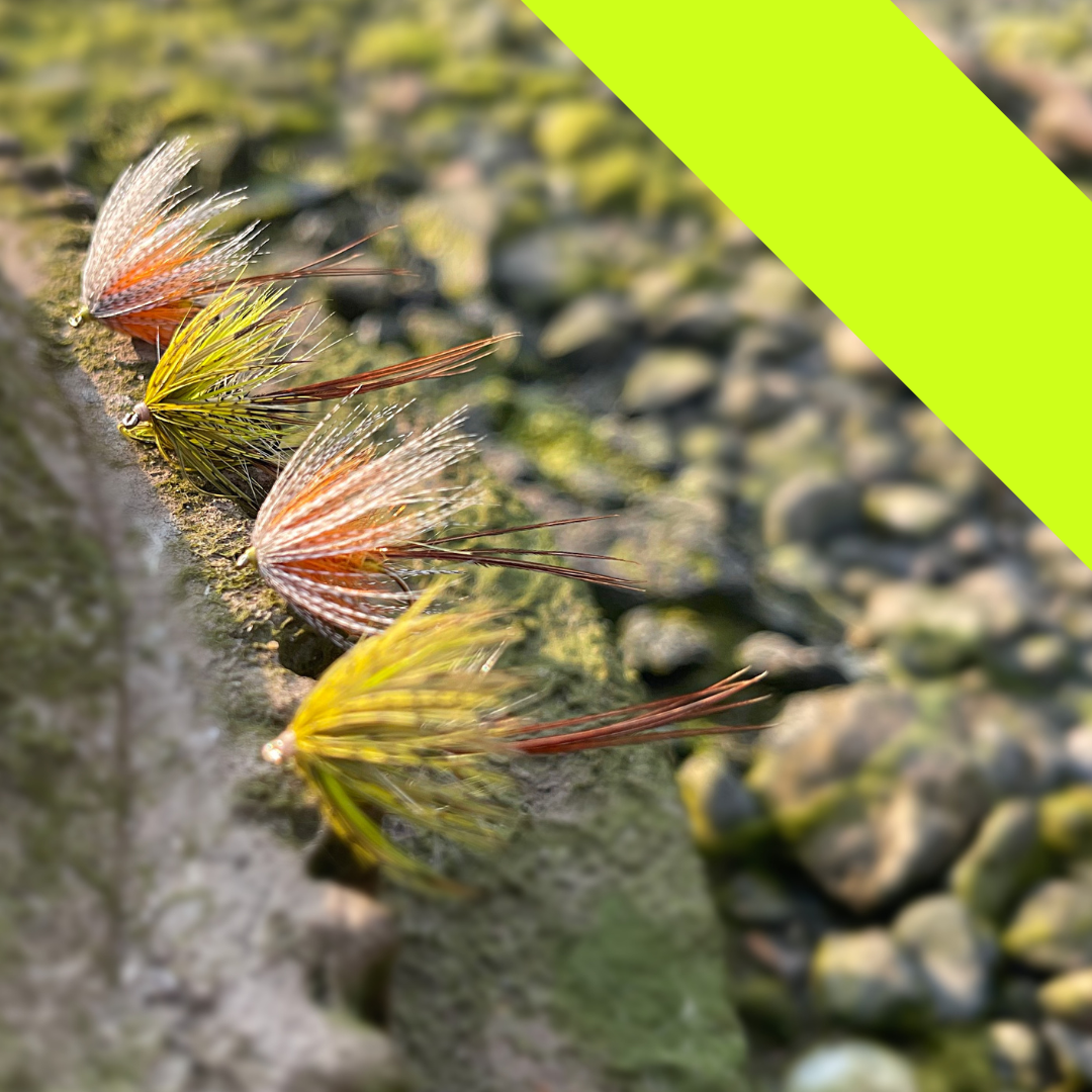 MAYFLIES – Limestone Fly