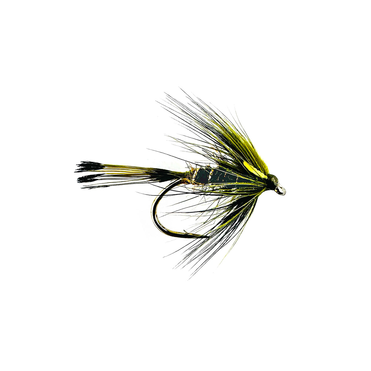 SOOTY OLIVE PENNELL – Limestone Fly