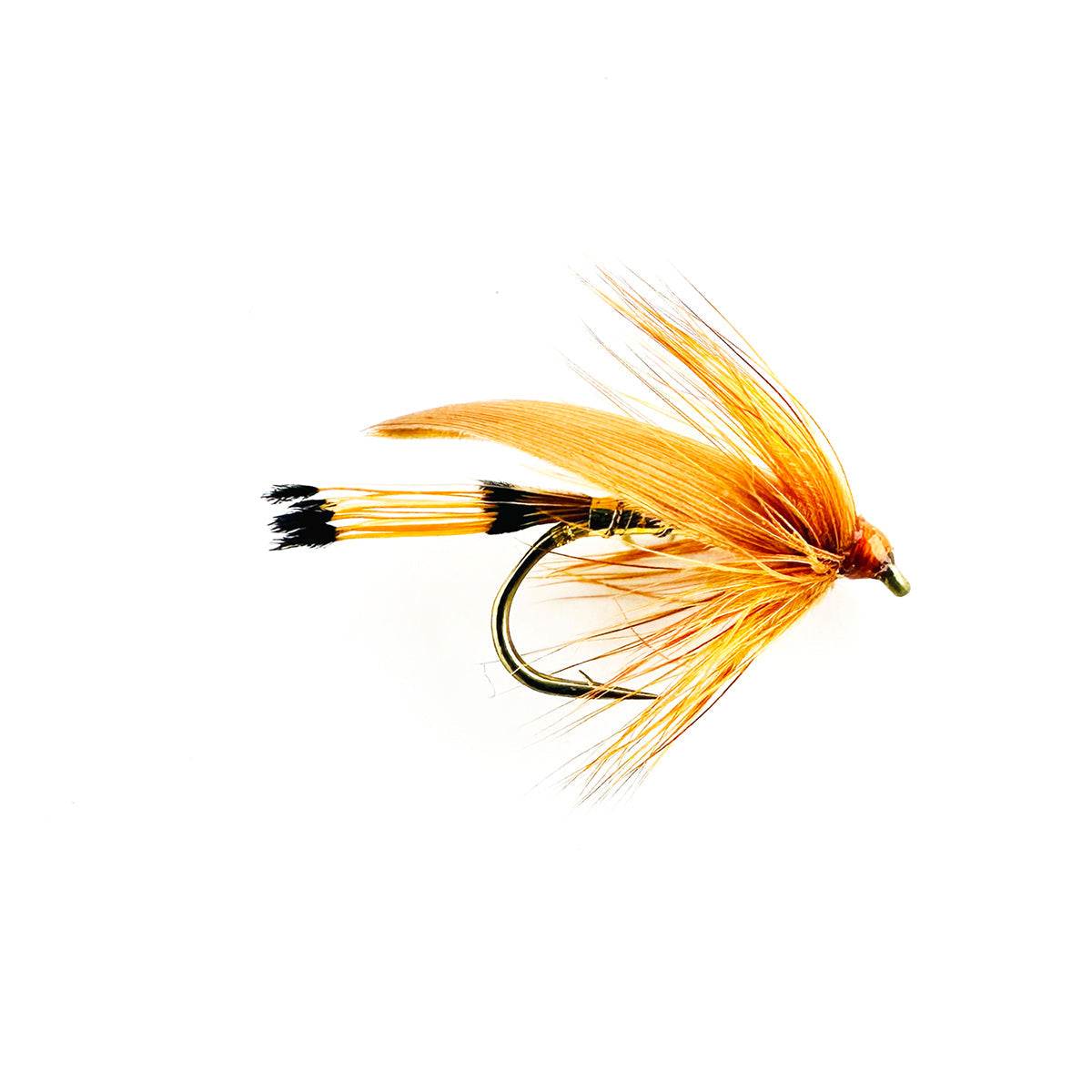 CINNAMON & GOLD – Limestone Fly
